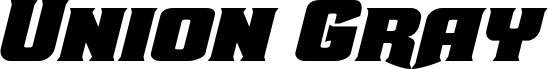 Union Gray font | Fonts2u.com