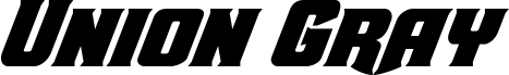 Union Gray font | Fonts2u.com