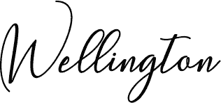 Wellington font | Fonts2u.com