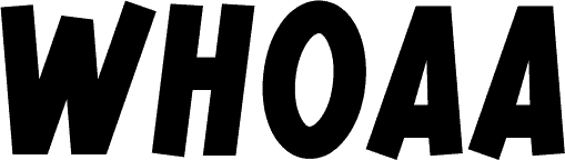 WHOAA font | Fonts2u.com