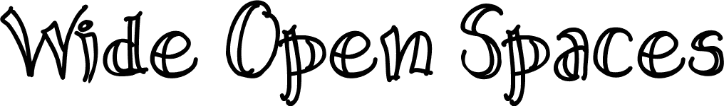 Wide Open Spaces font | Fonts2u.com