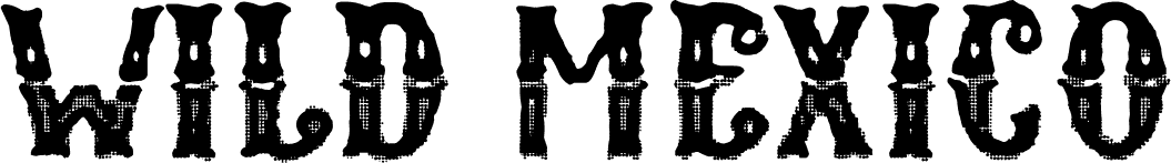 Wild Mexico font | Fonts2u.com