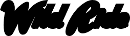 Wild Ride font | Fonts2u.com