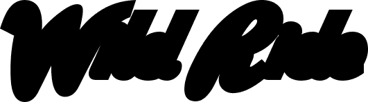 Wild Ride Back Fill font | Fonts2u.com