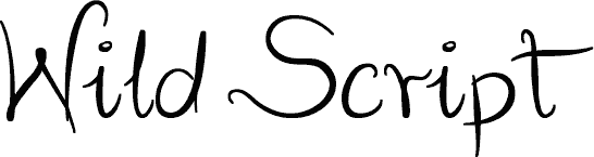 Wild Script font | Fonts2u.com