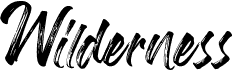 Wilderness font | Fonts2u.com