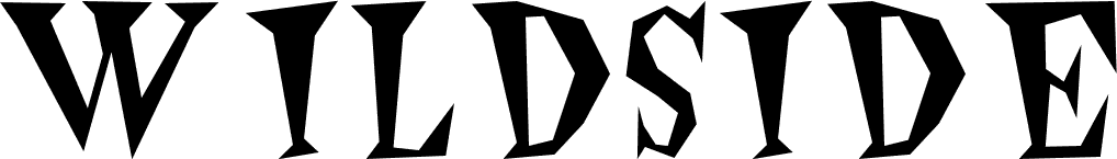 Wildside Plain font | Fonts2u.com