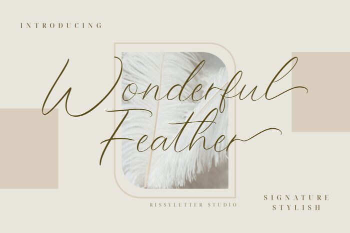 Wonderful Feather font | Fonts2u.com