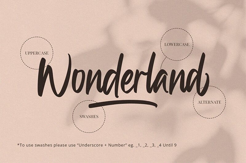 Wonderland font | Fonts2u.com
